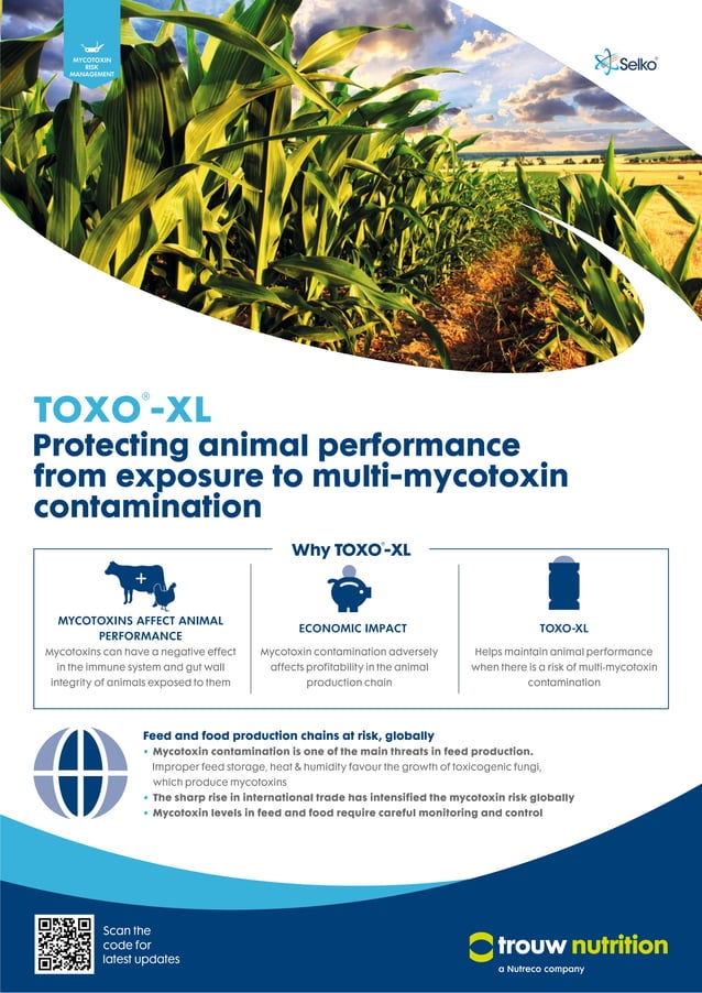 Mycotoxin contamination protector- TOXO-XL | PDF | Infectious Diseases ...