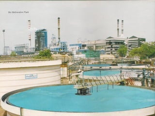 Tamilnadu News Print Paper Limited (TNPL) | PPT