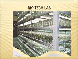 Tamilnadu News Print Paper Limited (TNPL) | PPT