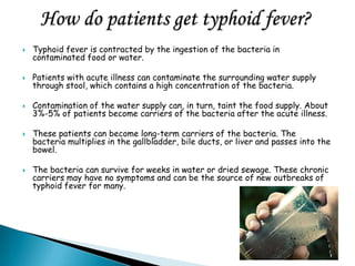 Typhoid | PPTX