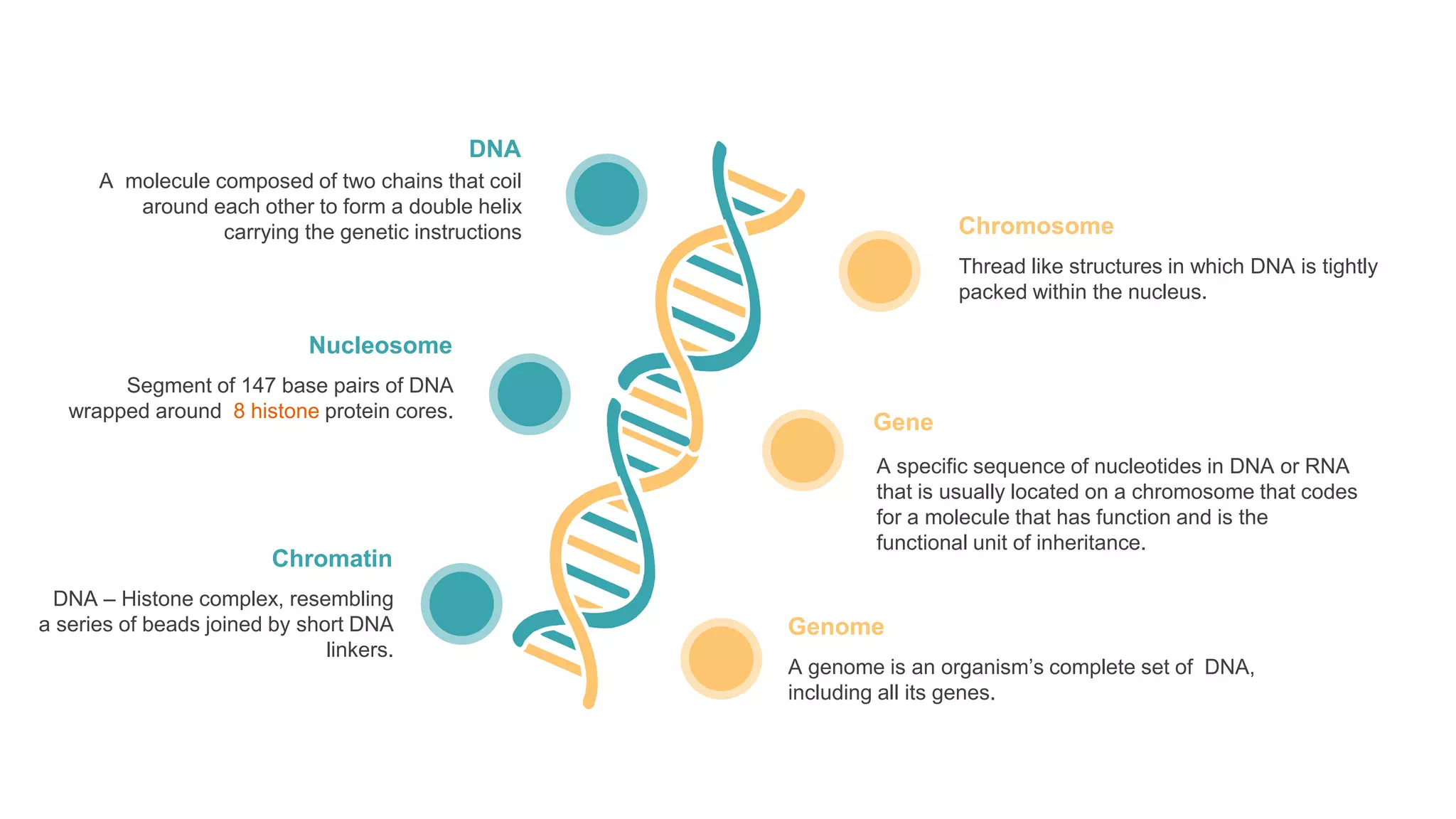 Triple Nucleotide Repeat Abnormality | PPTX