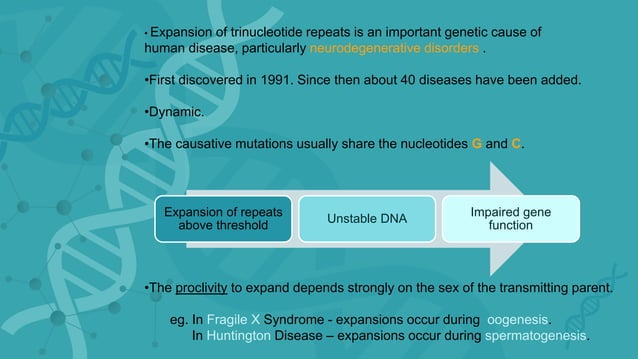 Triple Nucleotide Repeat Abnormality | PPTX | Genetics | Science