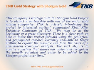 TNR Gold Shotgun Gold Project Presentation | PPT