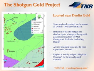 TNR Gold Shotgun Gold Project Presentation | PDF