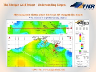 TNR Gold Shotgun Gold Project Presentation | PDF