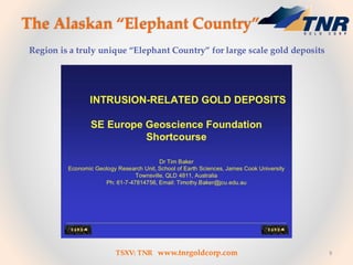 TNR Gold Shotgun Gold Project Presentation | PDF