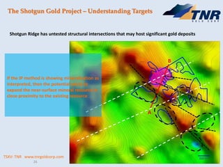 TNR Gold Shotgun Project Presentation | PPT