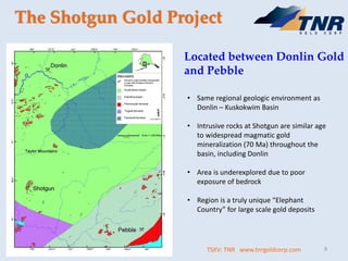 TNR Gold Shotgun Project Presentation | PPT