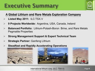 Lithium Presentation | PDF