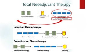 Total Neoadjuvant Therapy.pptx