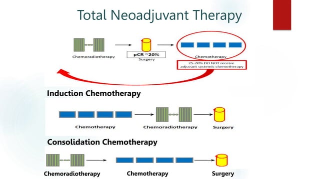Total Neoadjuvant Therapy.pptx
