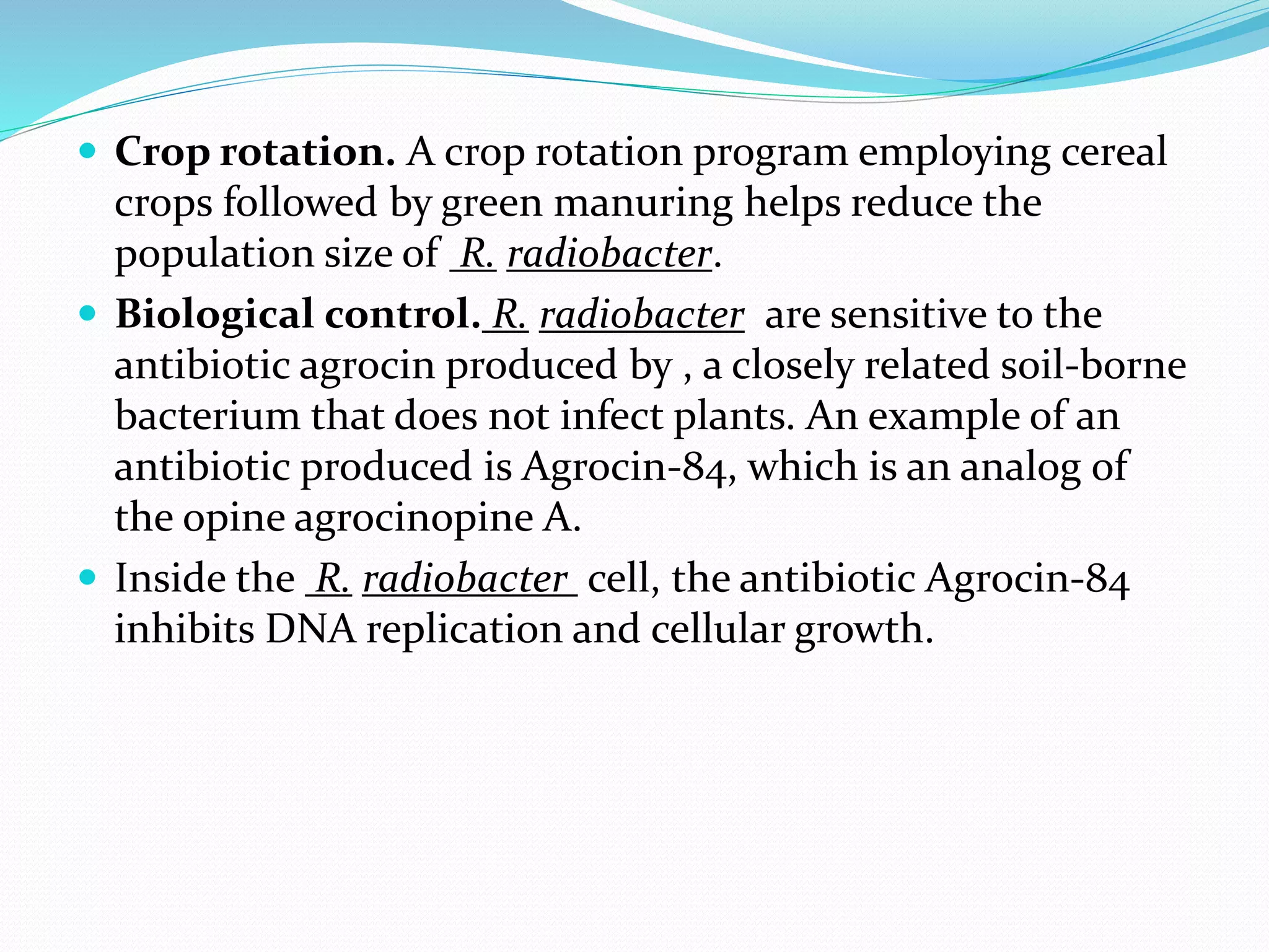 Agrobacterium | PPTX