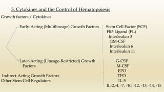 7. hematopoiesis | PPTX