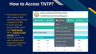 TNTP Presentation 19.12 presentation 2020 | PPTX