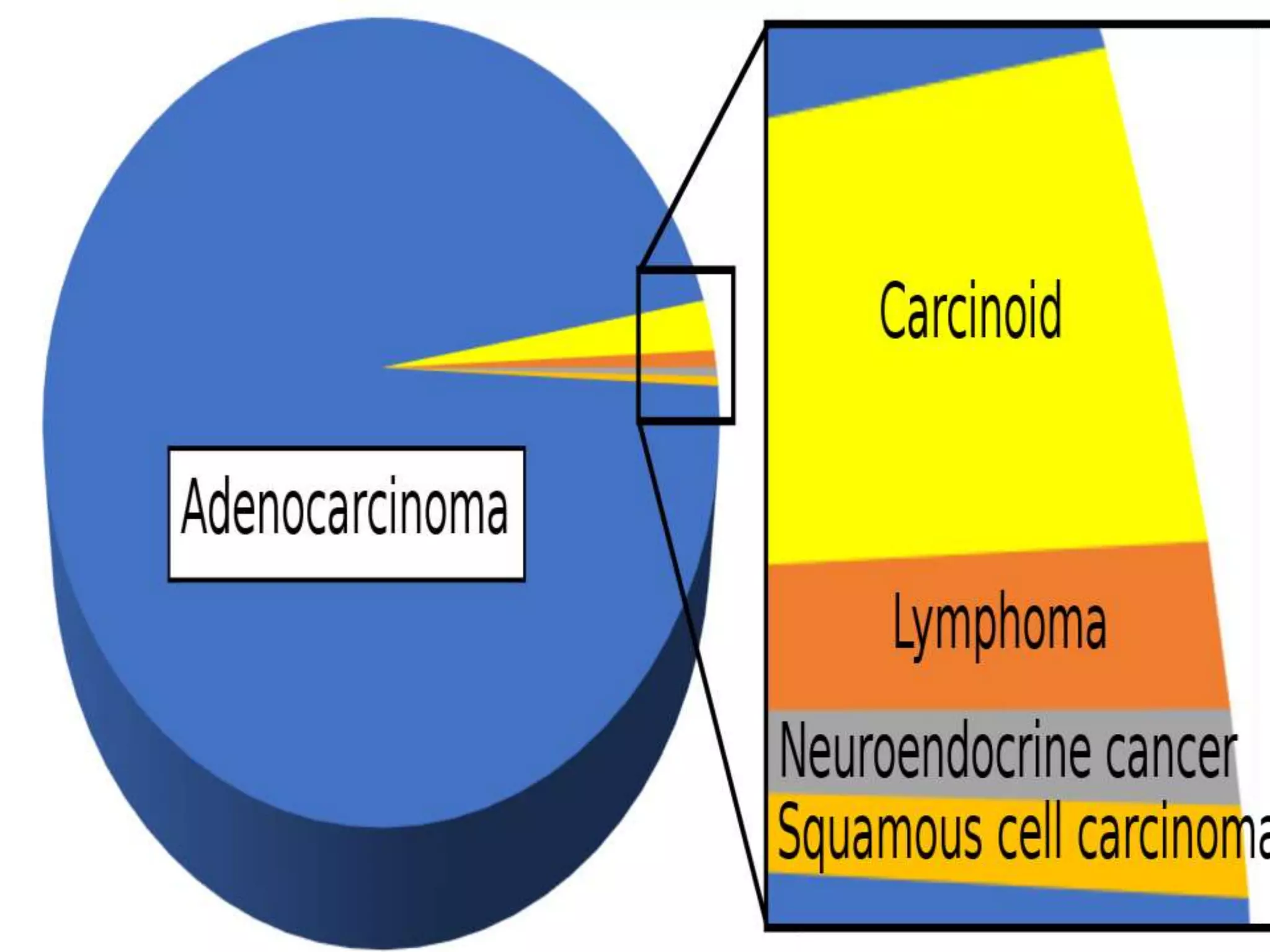 TNT Rectal Cancer Rapido.pptx