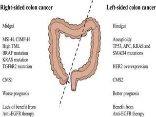 TNT Rectal Cancer Rapido.pptx