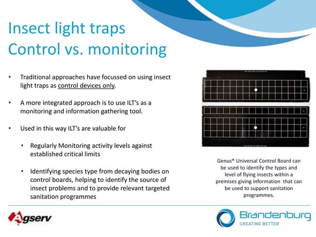 Brandenburg Insect Lights Traps & Integrated Sanitary Management | PPTX ...