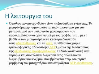To Μιτοχόνδριο | PPTX