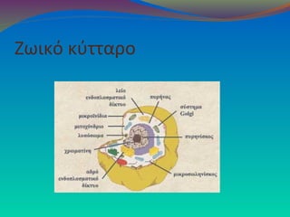 To κύτταρο | PPT