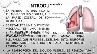 Toracocentesis y Toracotomia | PPTX