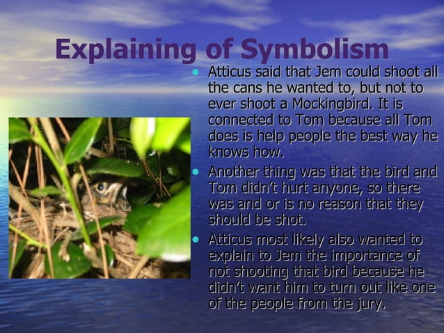 To Kill A Mockingbird Symbol Of Innocence | PPT