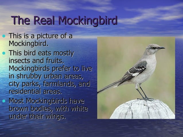 To Kill A Mockingbird Symbol Of Innocence | PPT