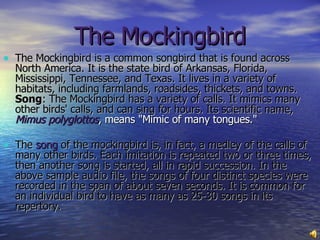 To Kill A Mockingbird Symbol Of Innocence | PPT
