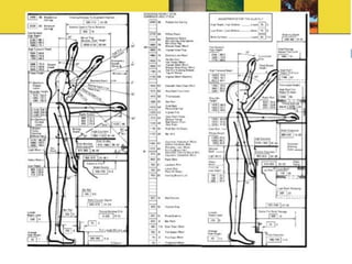04 Anthropometrics | PDF