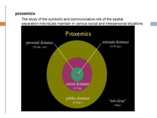 04 Anthropometrics | PDF