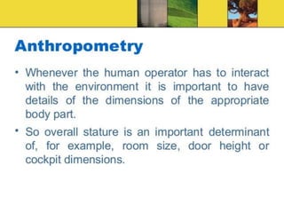 04 Anthropometrics | PDF