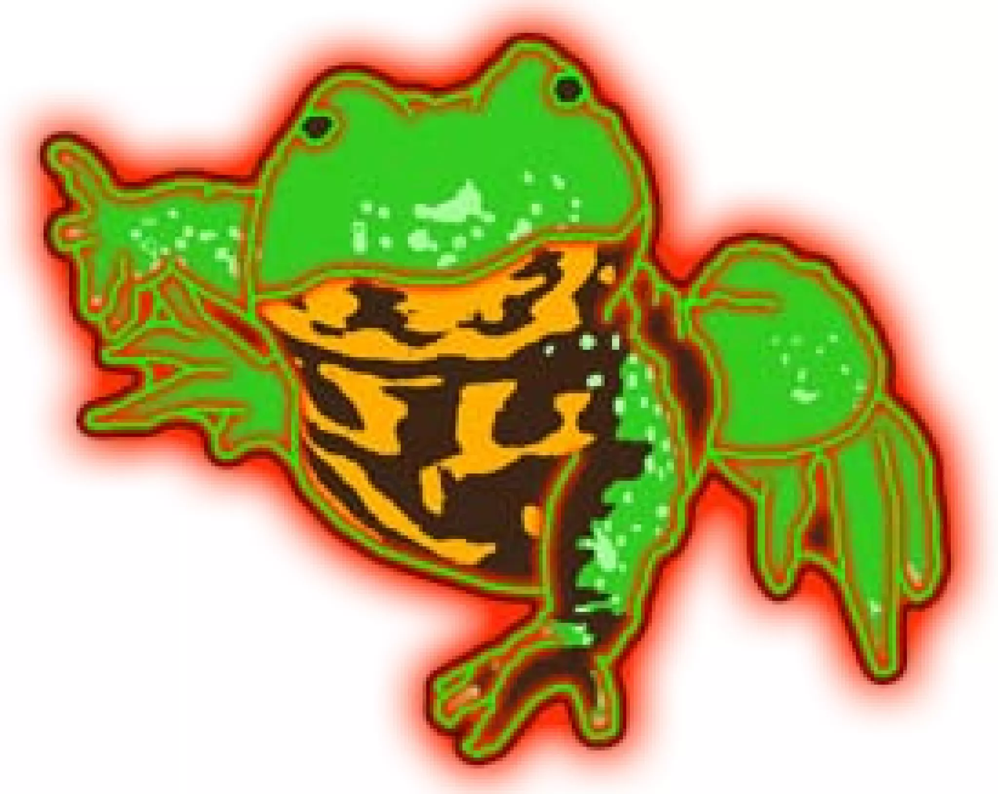 Fire Toad Logo | PDF