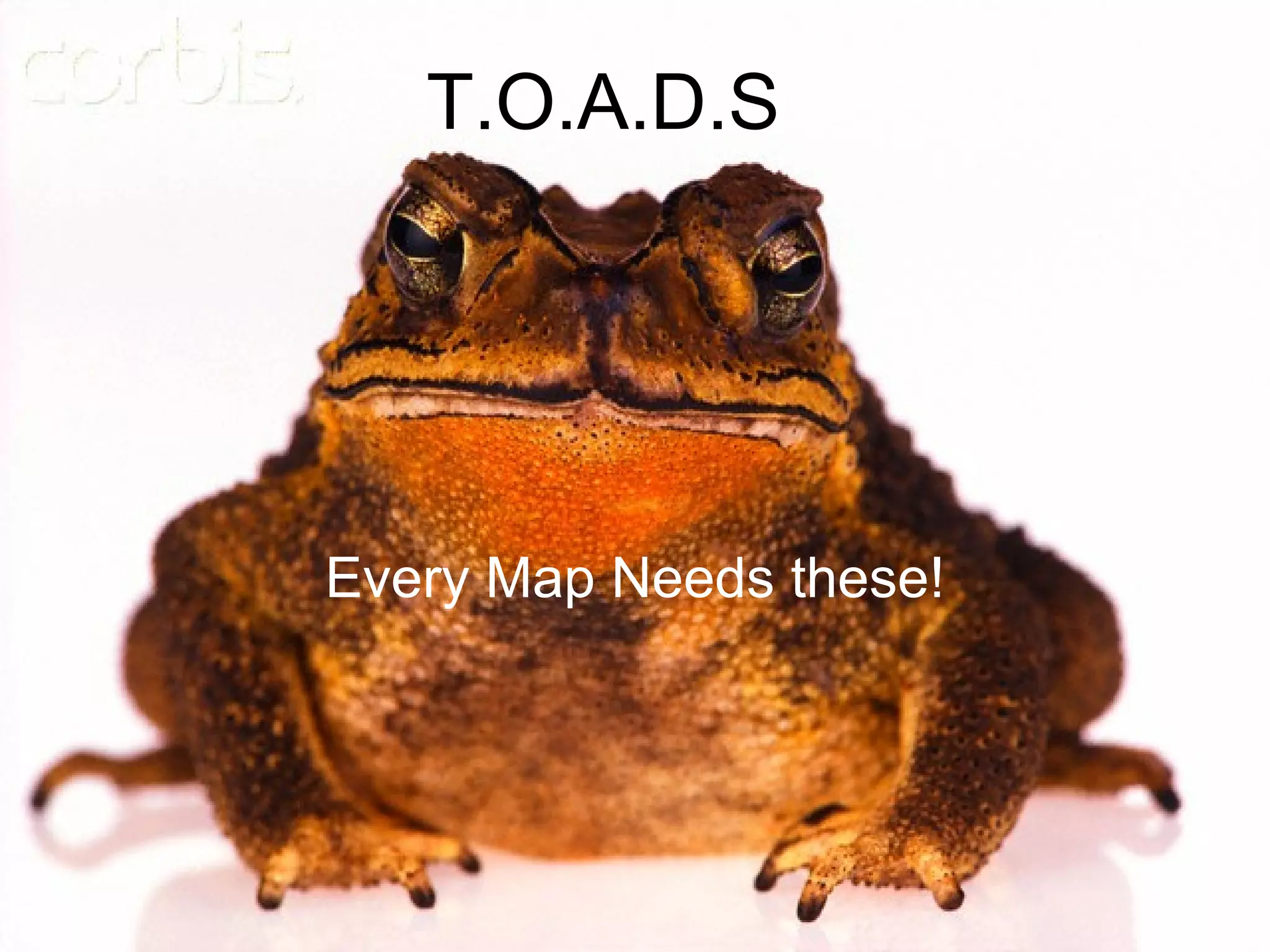 Toads | PPT