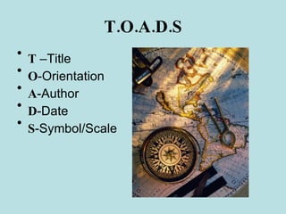 Toads | PPT