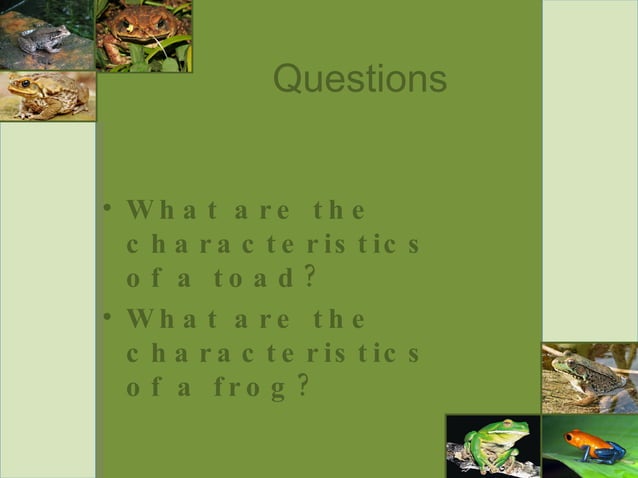 ITC Project Toads and Frogs | PPT