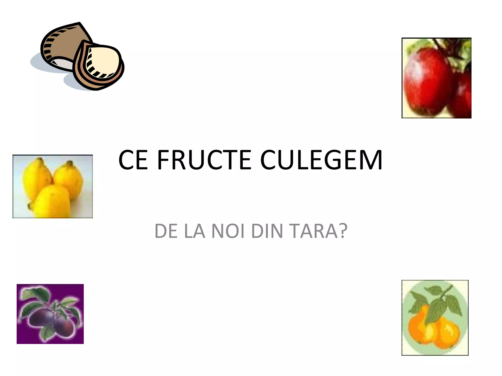Toamna stiinte | PPT