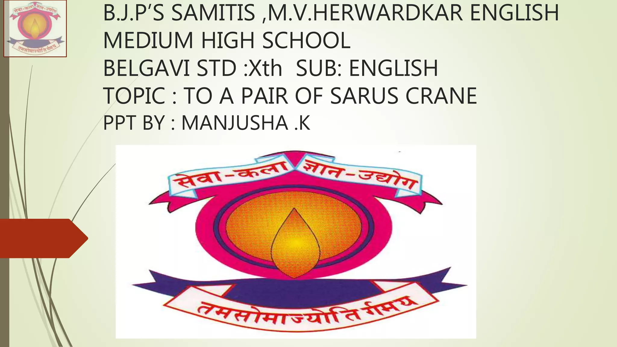 TO A PAIR OF SARUS CRANE STD 10TH.pptx