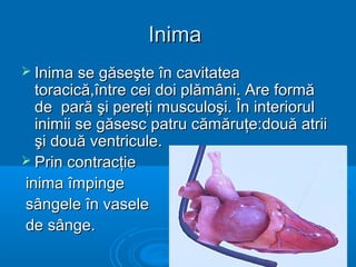 Toate sistemele | PPT
