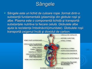 Toate sistemele | PPT