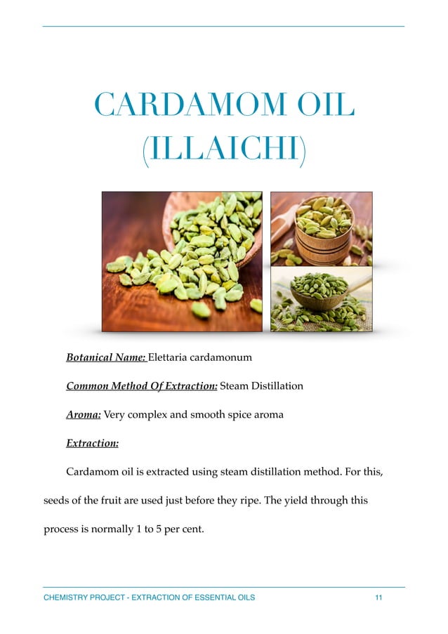 toaz.info-chemistry-project-essential-oils-12-pr ...