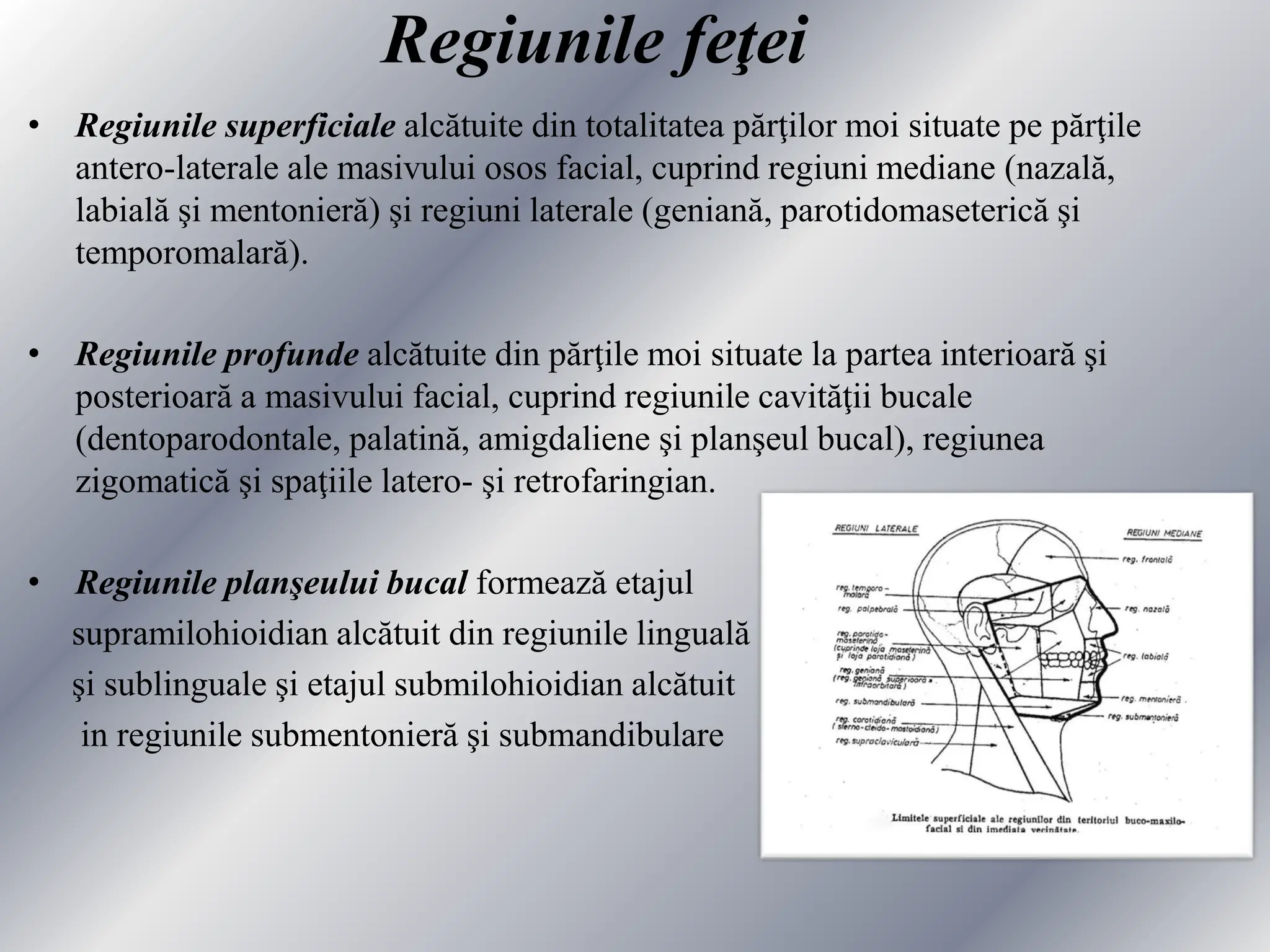 toaz.info-166295764-anatomia-chirurgicala-a-feei-pr ...