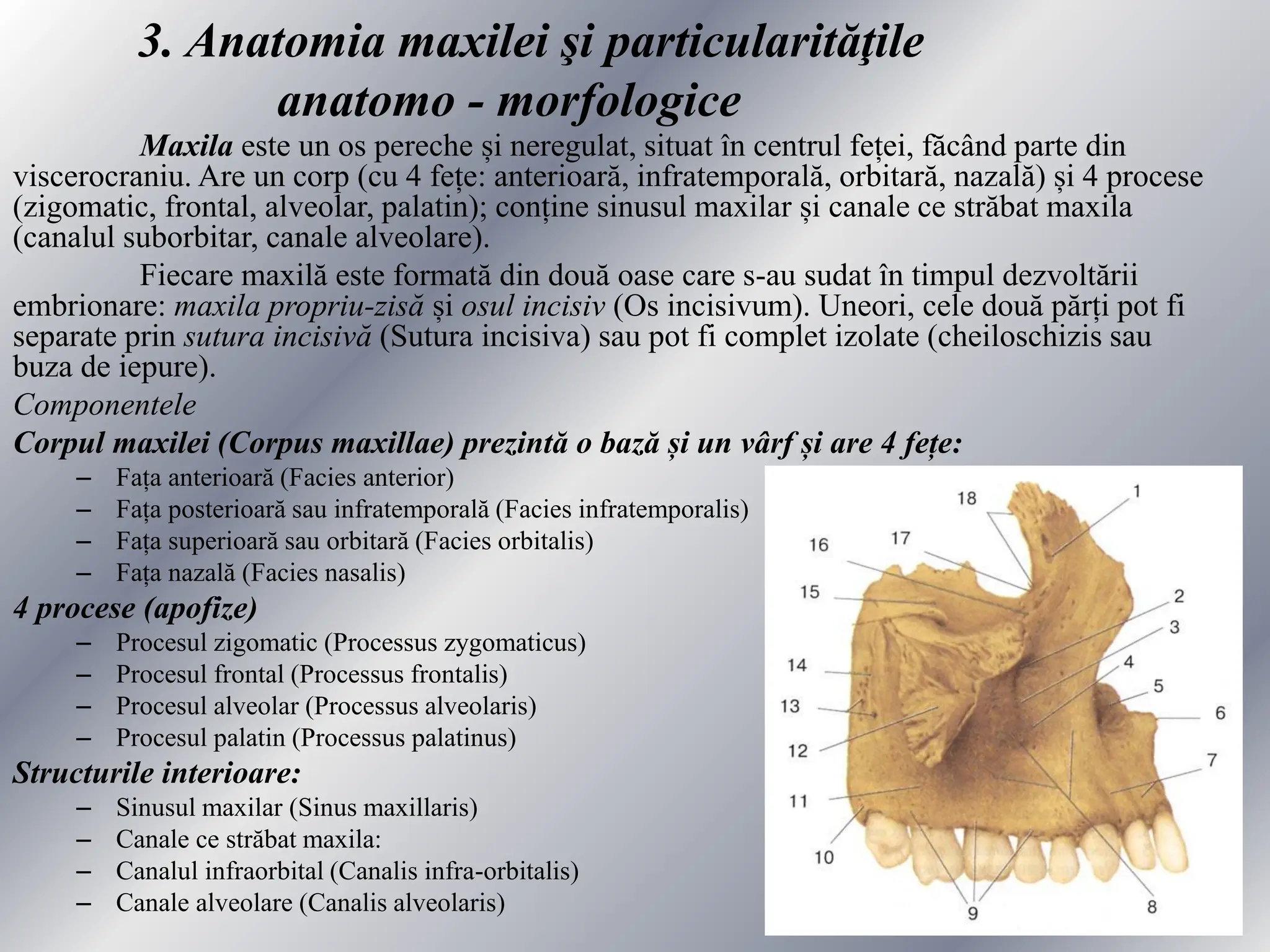 toaz.info-166295764-anatomia-chirurgicala-a-feei-pr ...