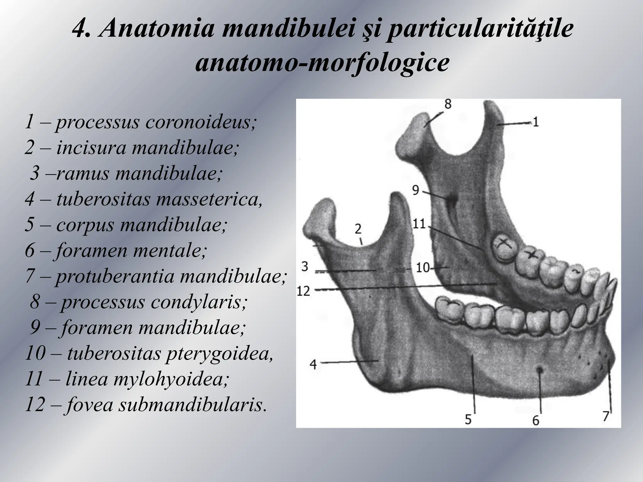 toaz.info-166295764-anatomia-chirurgicala-a-feei-pr ...