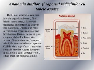 toaz.info-166295764-anatomia-chirurgicala-a-feei-pr ...