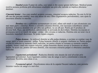 toaz.info-166295764-anatomia-chirurgicala-a-feei-pr ...