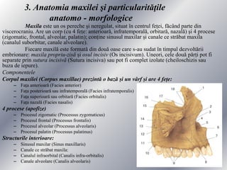 toaz.info-166295764-anatomia-chirurgicala-a-feei-pr ...