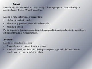 toaz.info-166295764-anatomia-chirurgicala-a-feei-pr ...