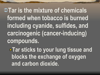 Tobacco | PPT | Illegal Drugs, Tobacco, eCigarettes, Vaping, Alcohol ...