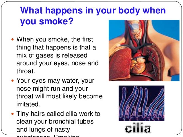 What Happens When You Smoke To Your Body
