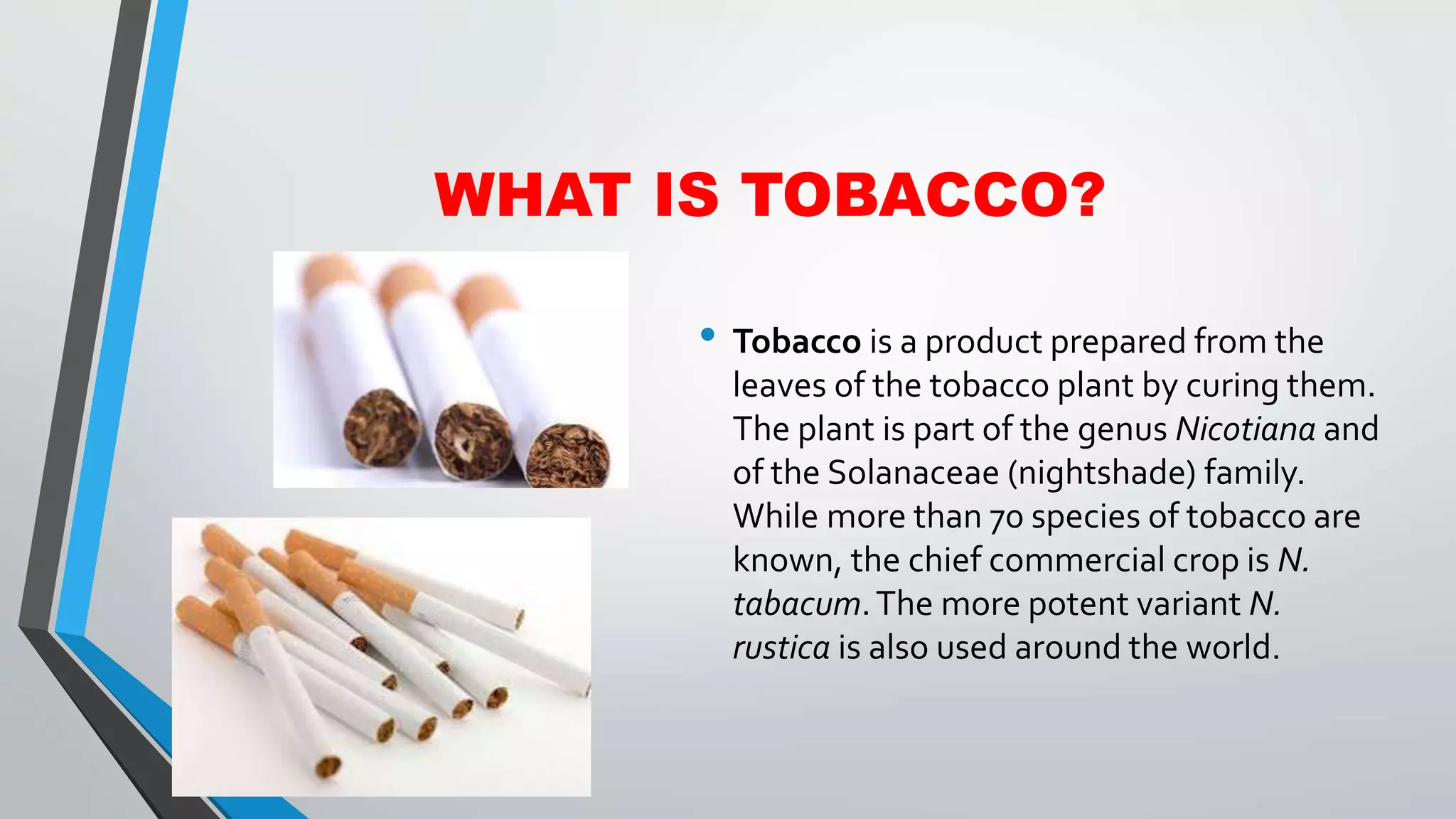 Tobacco | PPT