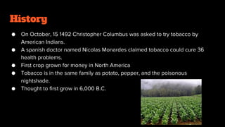 Tobacco | PDF